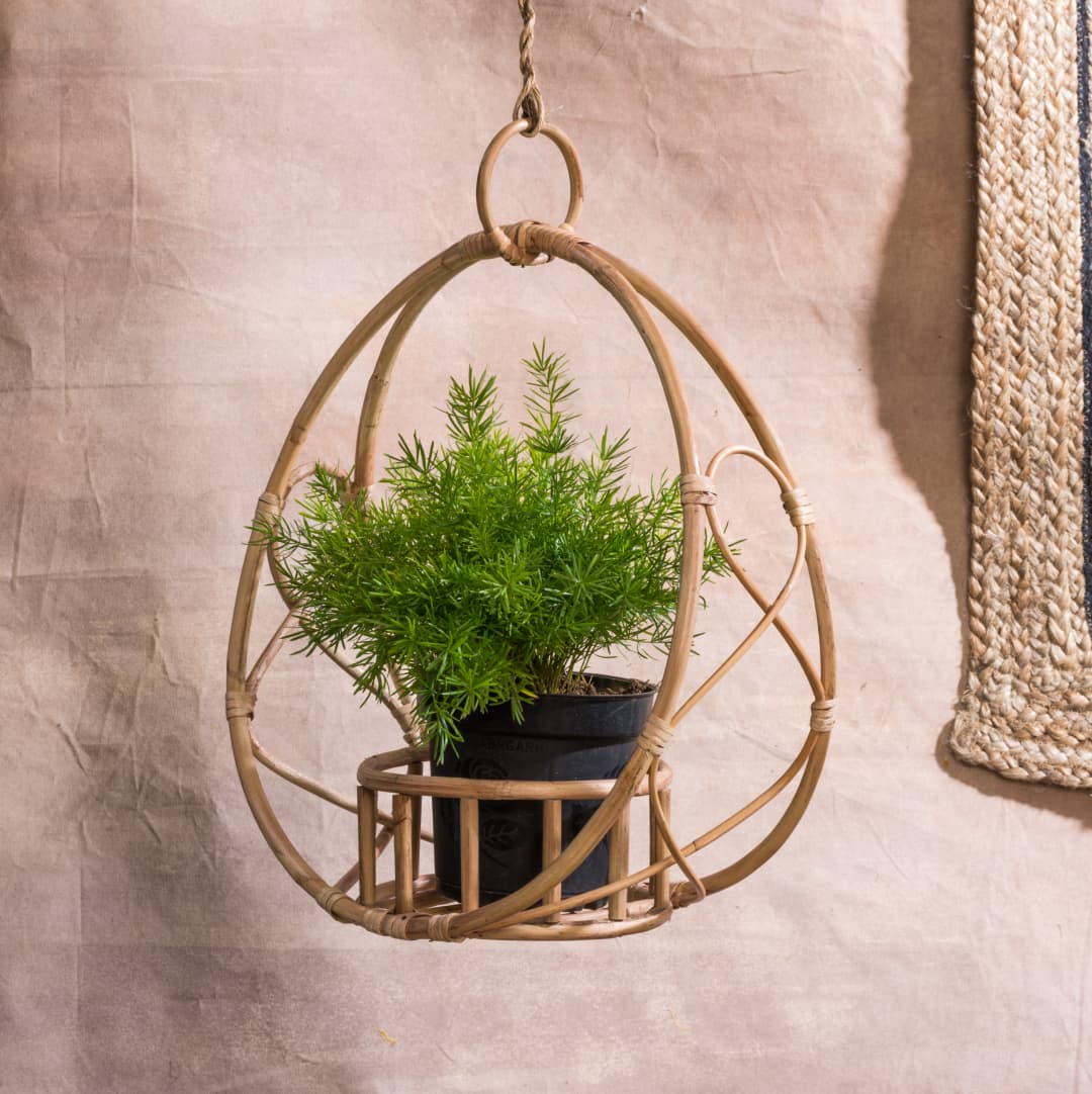 Hängender Blumentopfhalter aus Rattan - Beth Gamla – Mytri Designs EU